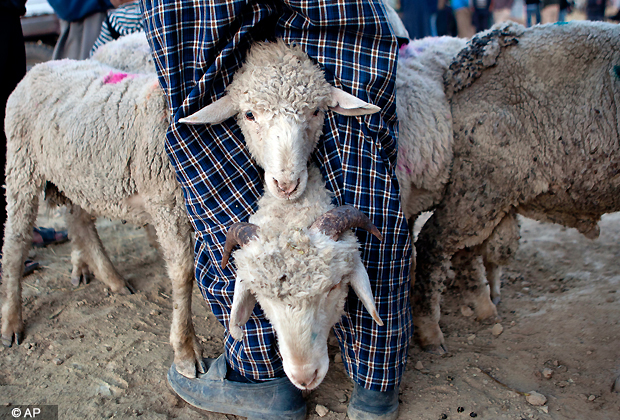 Eid-ul-Adha celebrations!