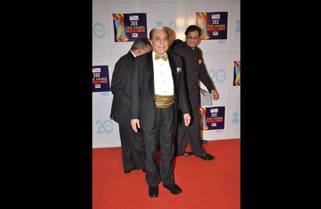Bollywood celebrities at Zee Cine Awards 2013