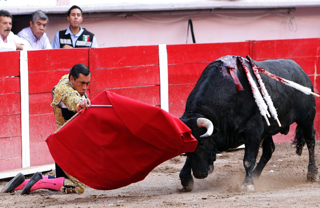 Mexican bullfight