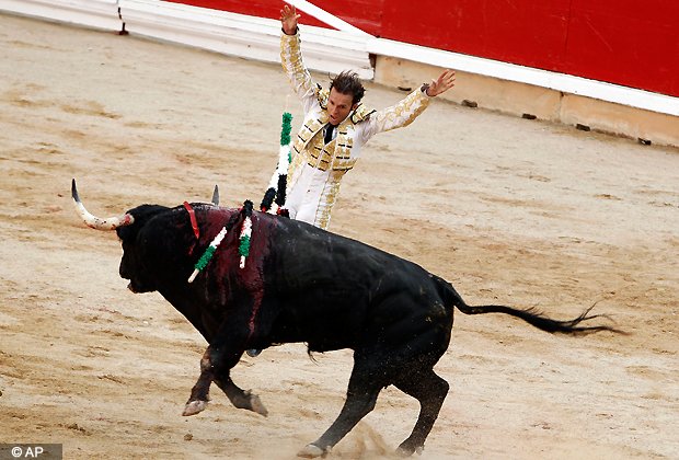 Spain Bull