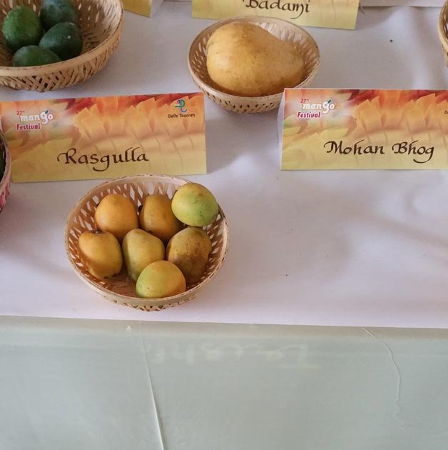 27th Mango Festival 2015
