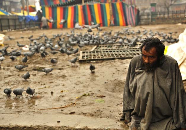 Different shades of Kashmir