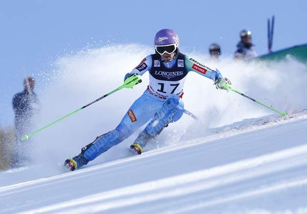 Alpine skiing world championship